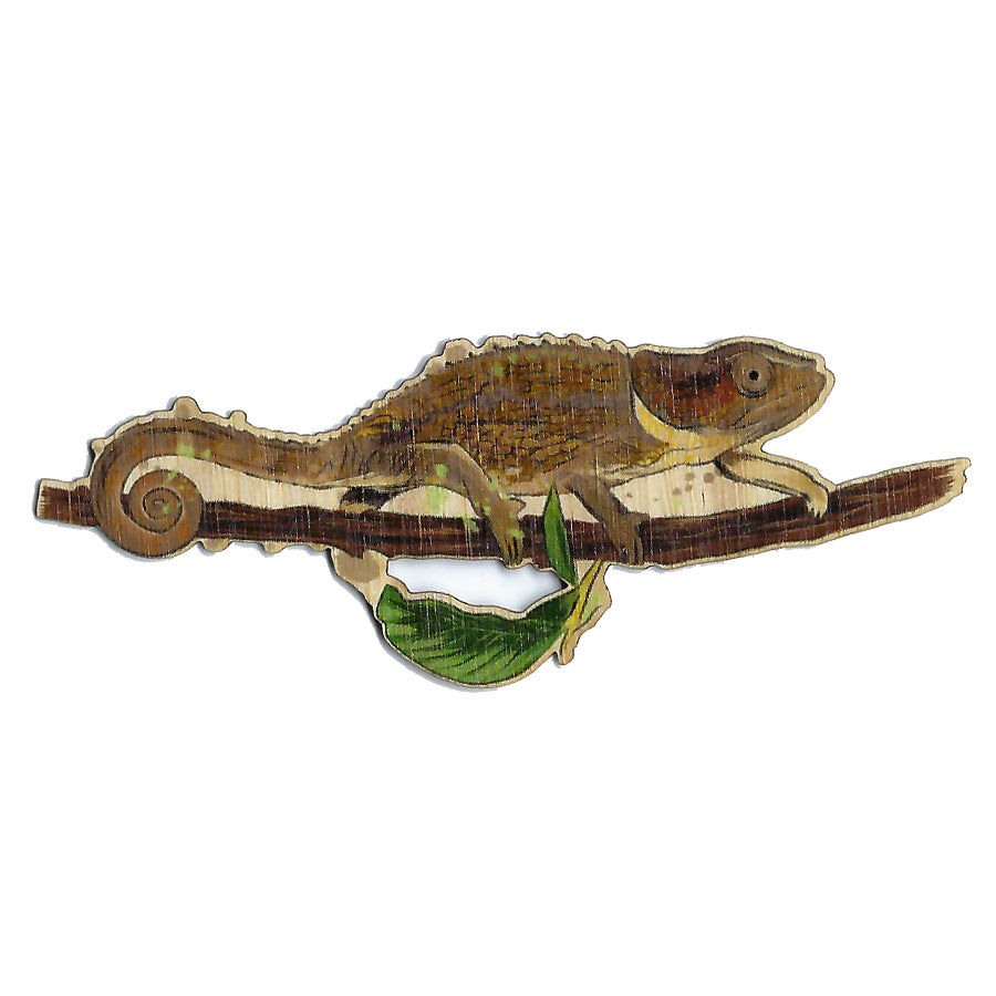 Our stickers are made with 100% Sustainable Bamboo. They are Eco ...